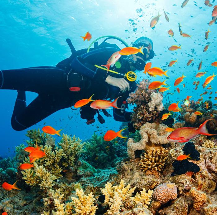 Department of Ocean Studies and Marine Biology – Pondicherry University