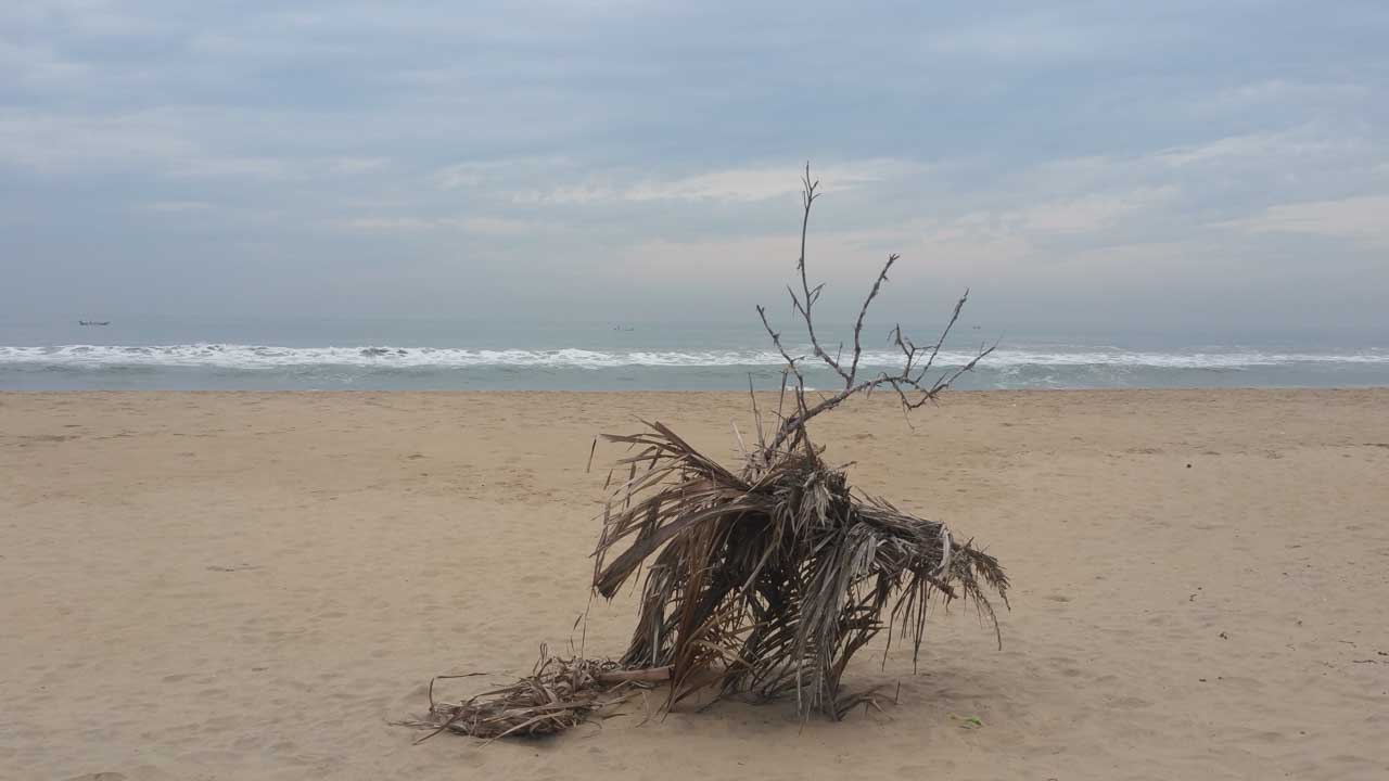 Centre for Sustainability and Climate Studies – Pondicherry University